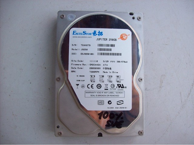 250 Gb ata 3.5 inca hard Excel Stor-100%