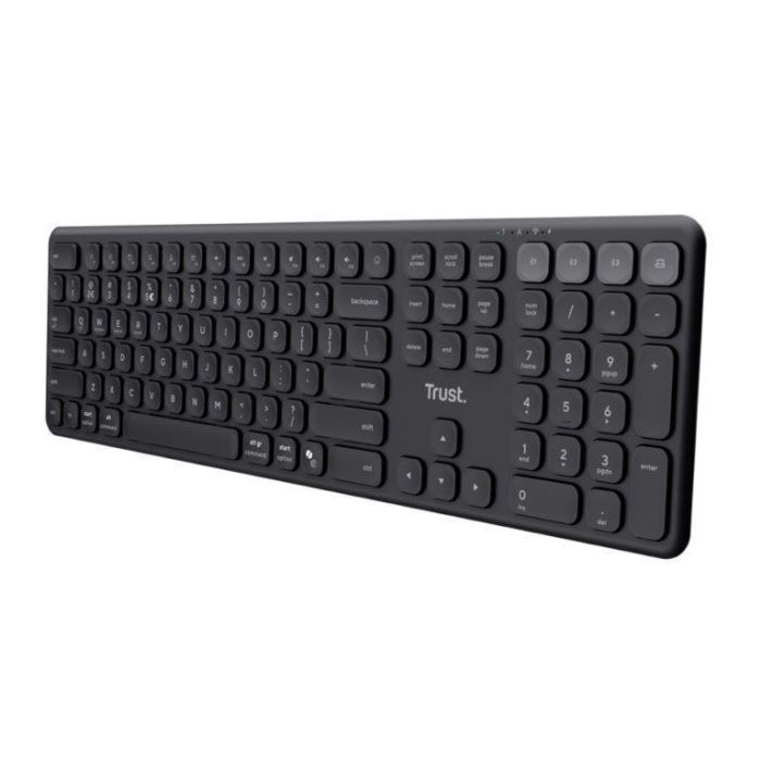 VAIYA MULTIDEVICE WRLS TASTAT (25511)