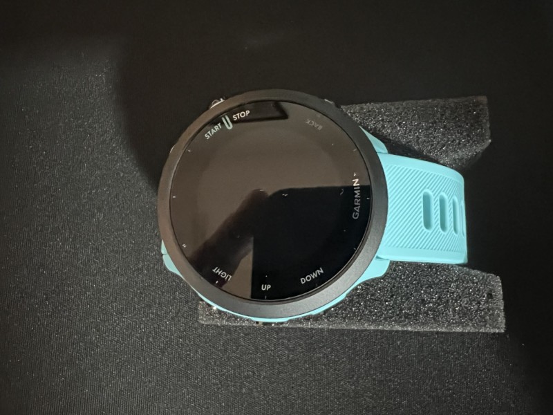 Forerunner 55 Whitestone pametni sat
