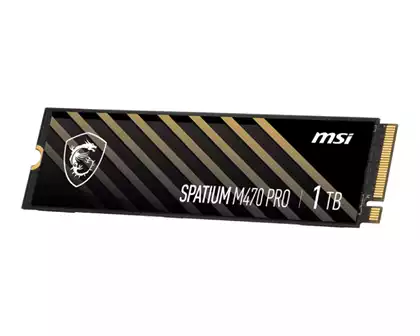 MSI SPATIUM M470 PRO PCIe 4.0 NVMe M.2 1TB SSD