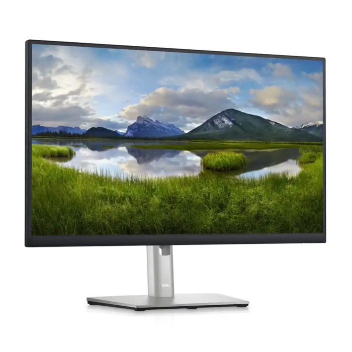 Monitor 24 Dell P2423D 2560x1440/QHD/IPS/60Hz/IPS/5ms/HDMI/DP/4xUSB/Pivot