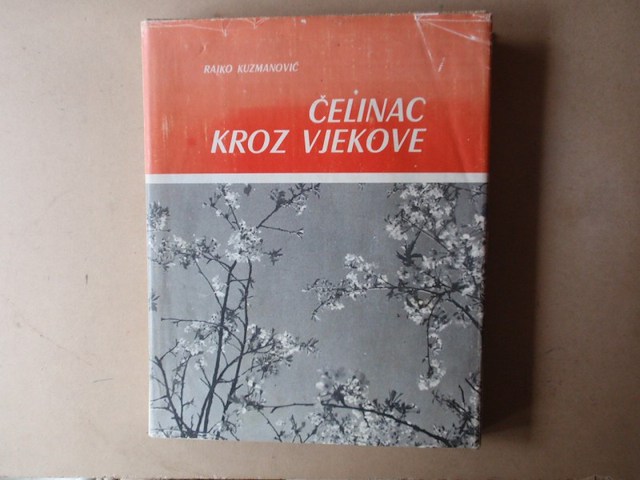 Rajko Kuzmanović - ČELINAC KROZ VJEKOVE