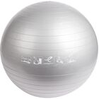 LOPTA ZA FITNES ENERGETICS GYMNASTIC 65CM