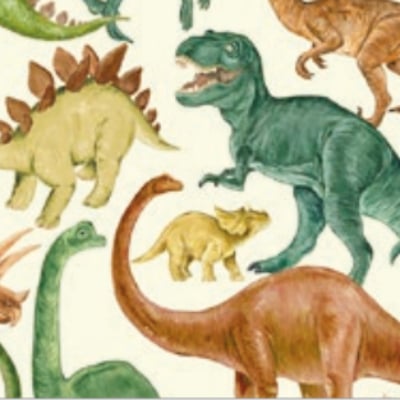 Ukrasni papir T - Dinosaurs, 70x50 cm