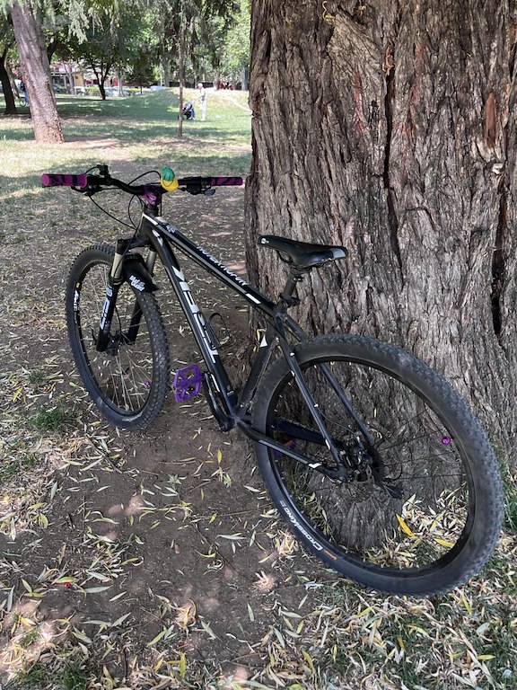 Trek mamba