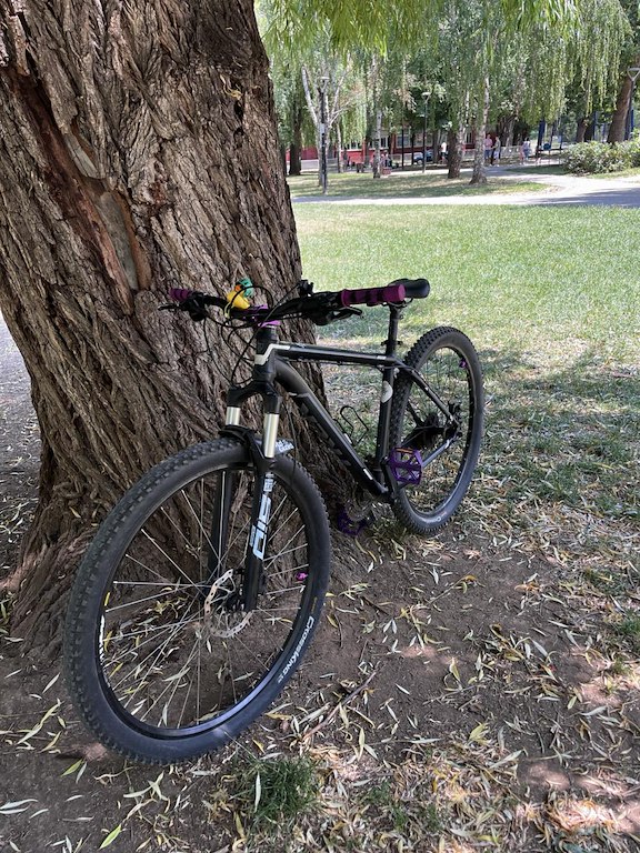 Trek mamba
