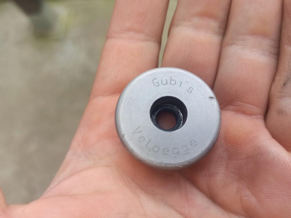 Gubi's Veloegge kapica