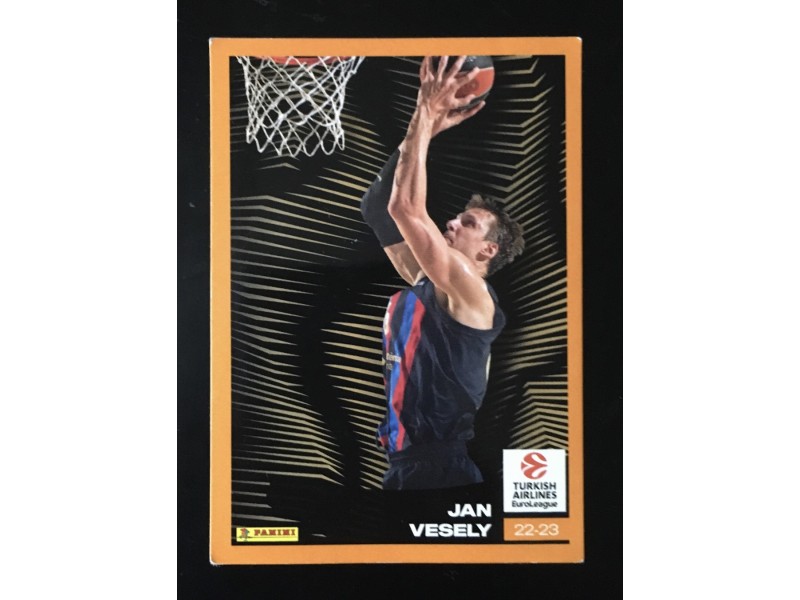 Panini Evroliga, igrači i timovi evrolige