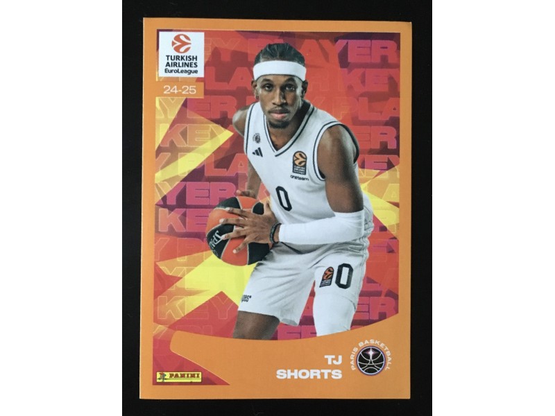 Panini Evroliga, timovi i igrači