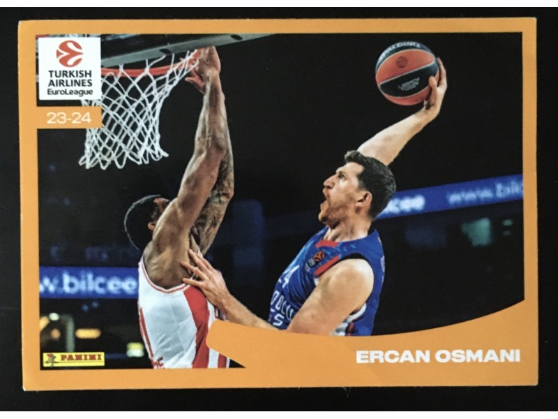 Panini Evroliga, timovi i igrači