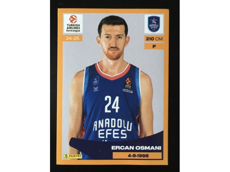 Panini Evroliga, timovi i igrači