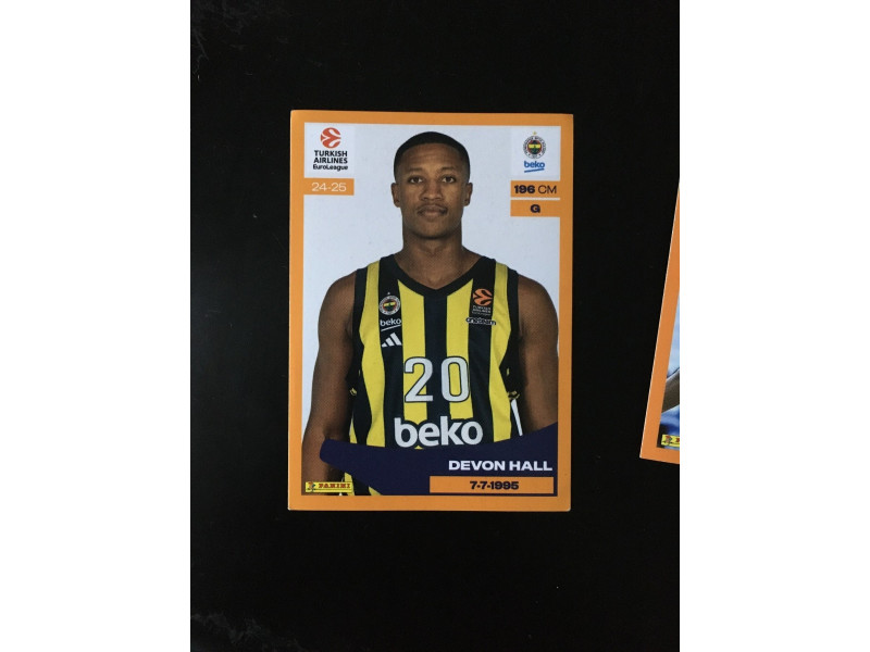 Panini Evroliga, timovi i igrači