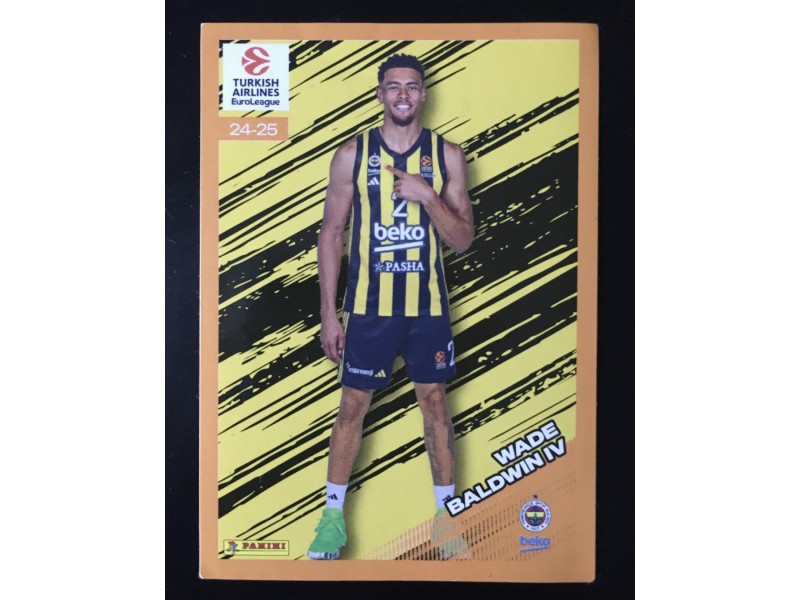 Panini Evroliga, timovi i igrači