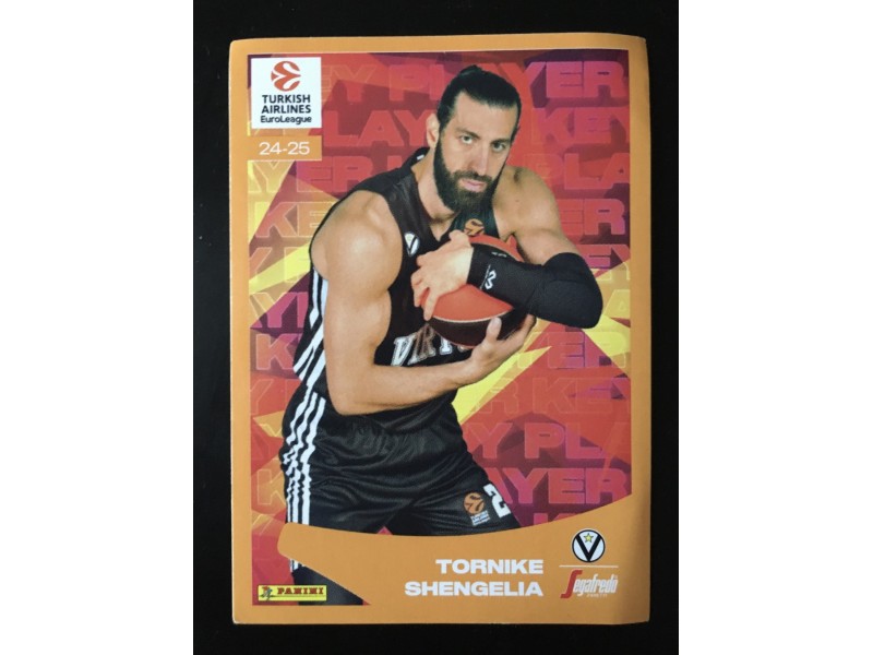 Panini Evroliga, timovi i igrači