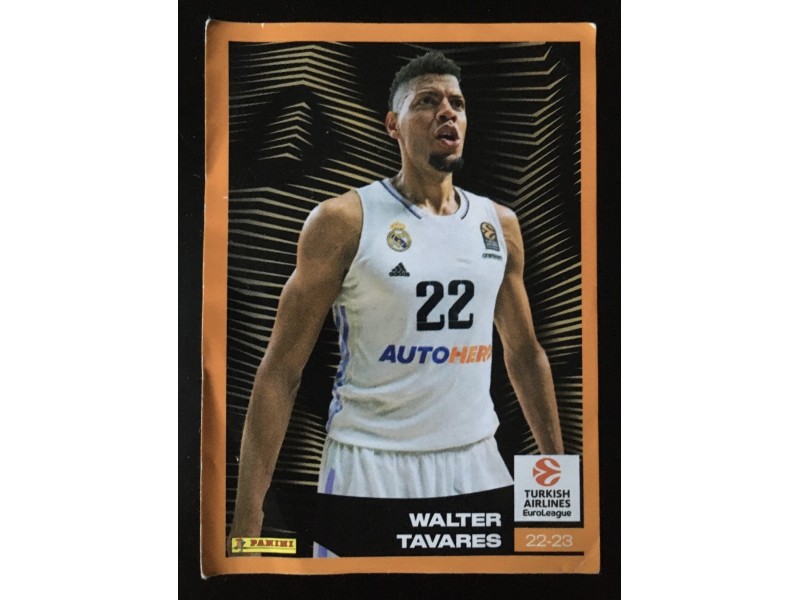 Panini Evroliga, timovi i igrač