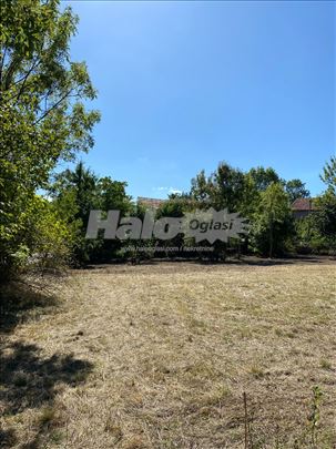 Plac Ralja 15 ari