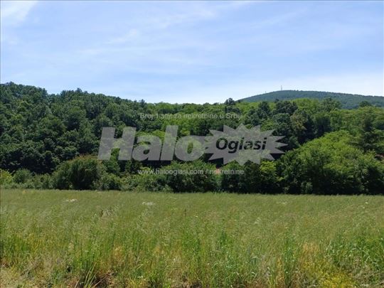 Plac sa dozvolom i pogledom na Kosmaj