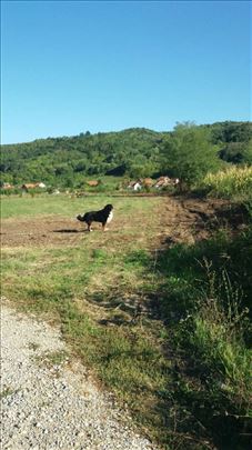 Prodaje se plac u Zdraljici na prelepom mestu