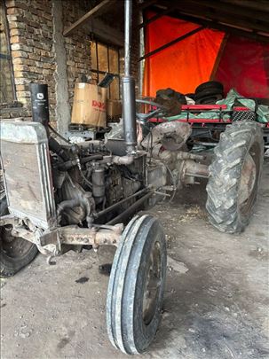 Massey