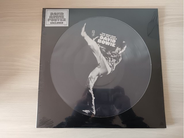 David Bowie - The Man who sold the World (Picture disc)