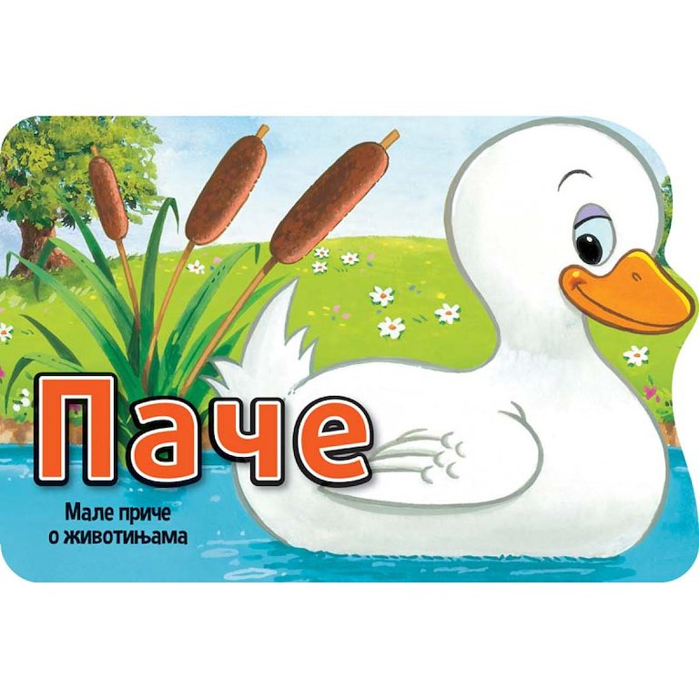 MALE PRIČE O ŽIVOTINJAMA: PAČE