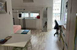 GRBAVICA, 25m2, Jednosoban, Namešten