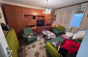 Prodajem Stan-Apartman, Detelinara