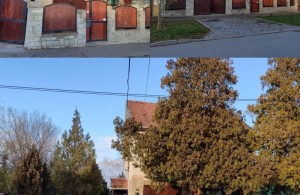 Makedonska, Zrenjanin, Centar, 5+ petosobna, 190 m²