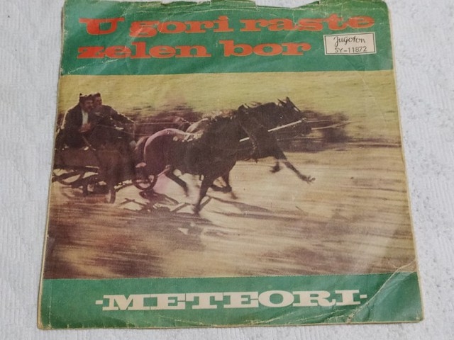 METEORI - U gori raste zelen bor (SINGL, 5-/4/2)