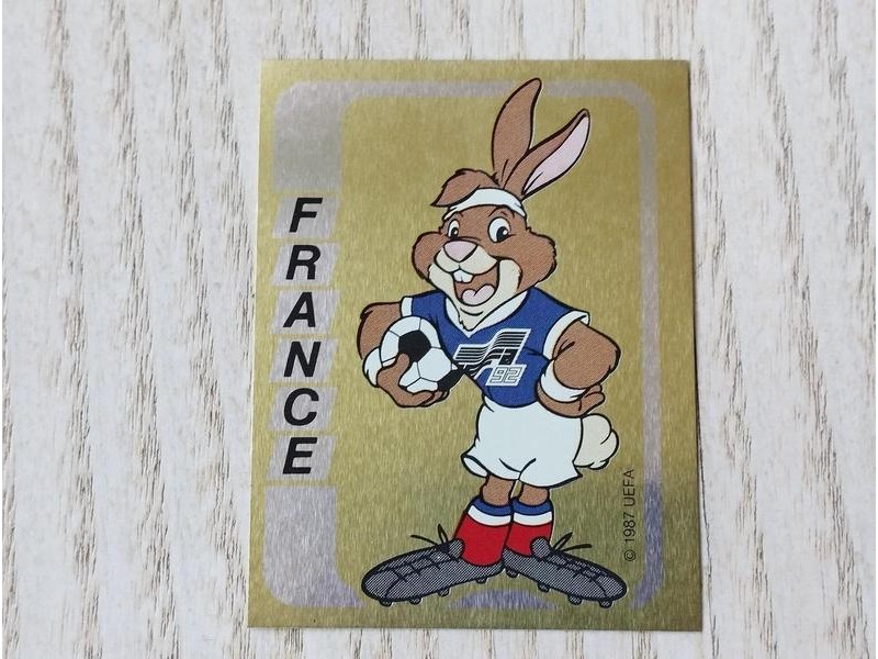 EURO 92 Panini FRANCE br. 41 MINT!!!