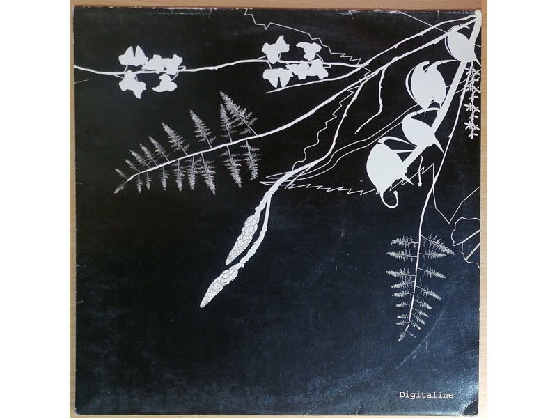 RASPRODAJA PLOČA: DIGITALINE, 2005, techno minimal, 4+