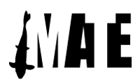 MATE ITANA ULTRA LIGHT 6.6/ 1,98CM F 1-7G
