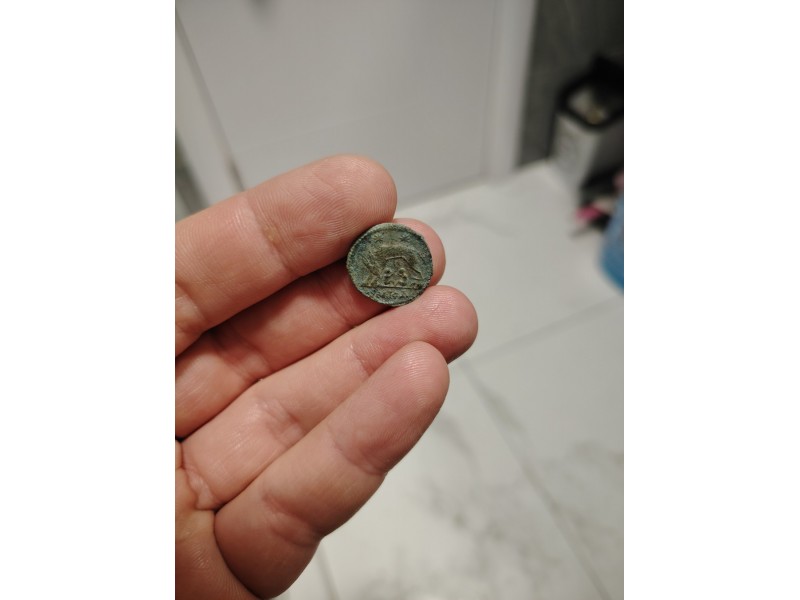 Roma-vučica-Rimska kovanica!