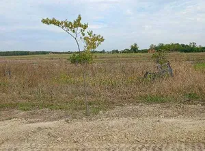 Prodaja Građevinsko zemljište - Subotica