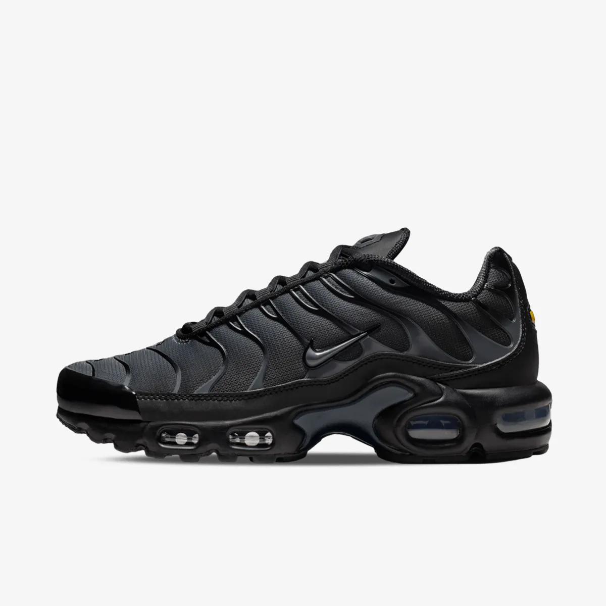 NIKE Patike W AIR MAX PLUS FL