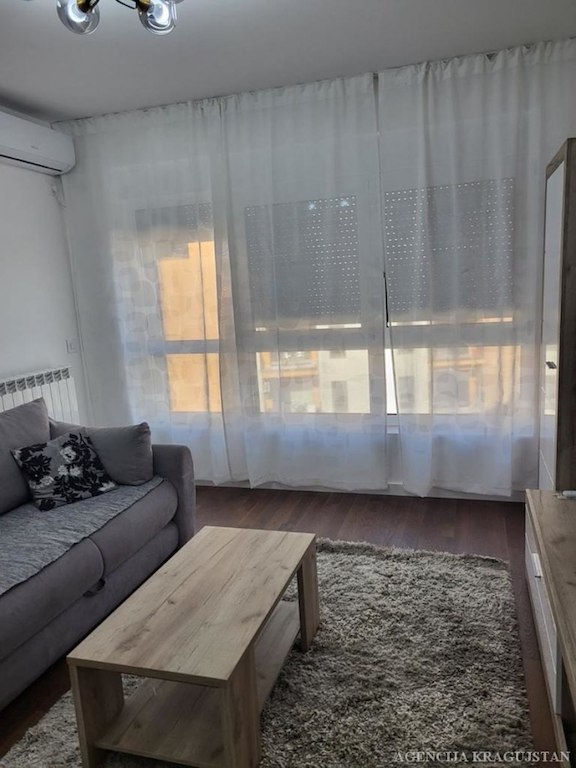 Izdavanje, Stan, 29m2 , Bubanj