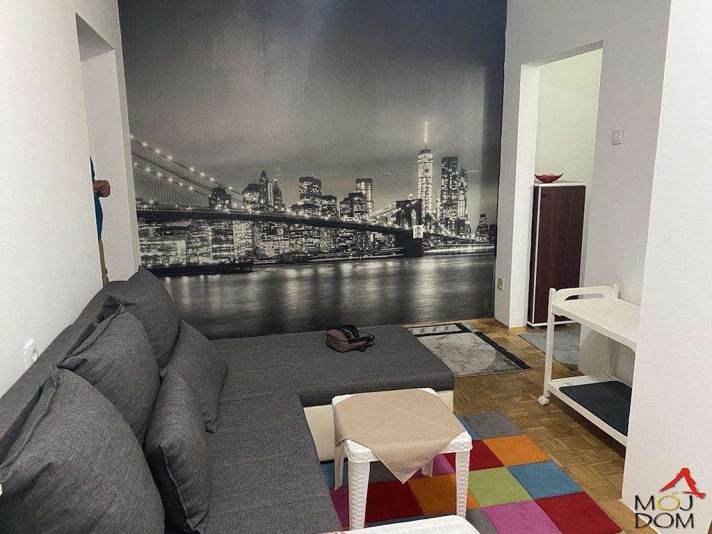 NOVI SAD - AVIJACIJA - IZDAVANJE NEKRETNINA - 37 m2 - 300€