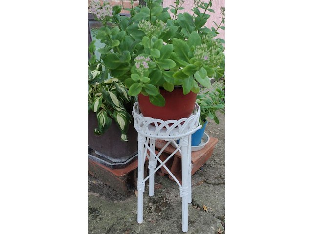 Šarmantni Pleteni Stalak za Saksiju