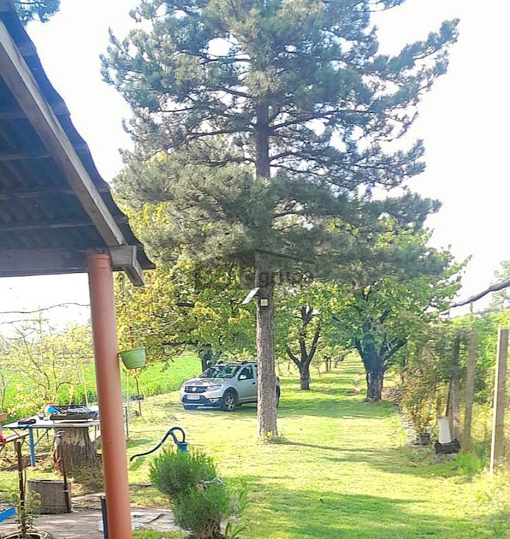 Uknjižena vikendica na Misi
