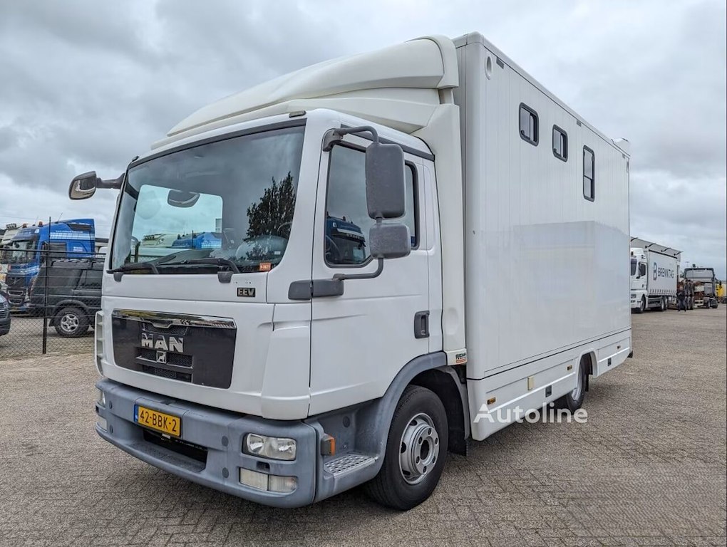 MAN TGL 12.250 - Horse transporter kamion za prevoz konja