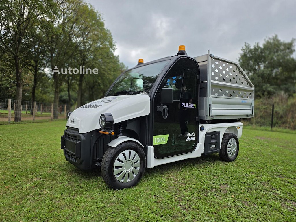 Pulse 4 golf vozilo