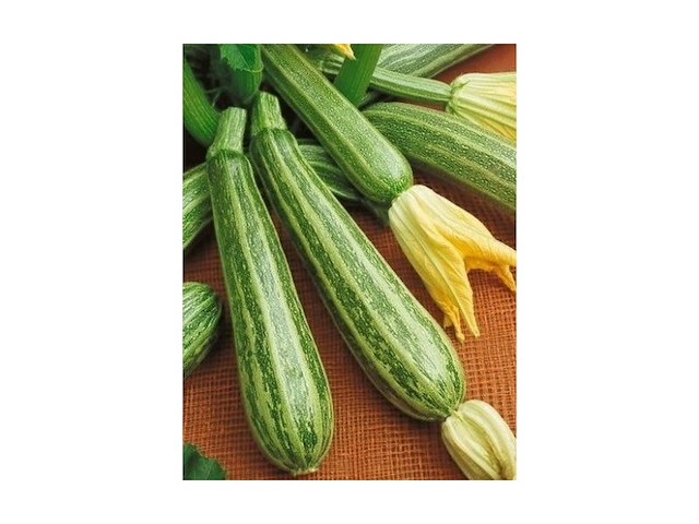 Italijanski cukini (20 semenki)