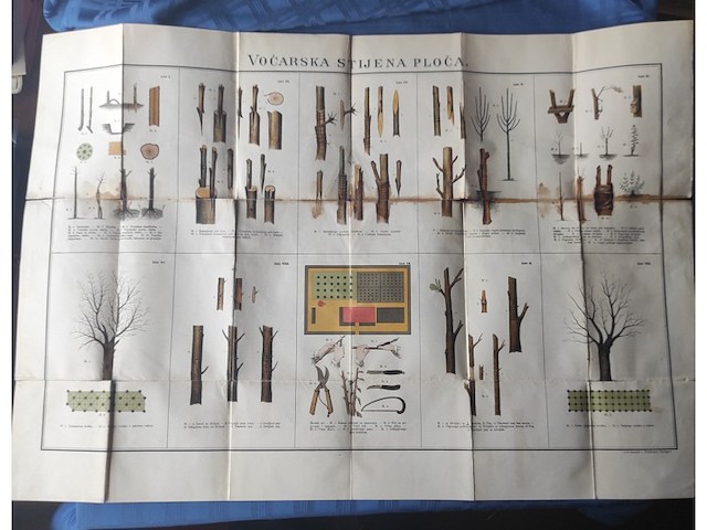 Plakat: Kalemljenje voća, oko 1930.god