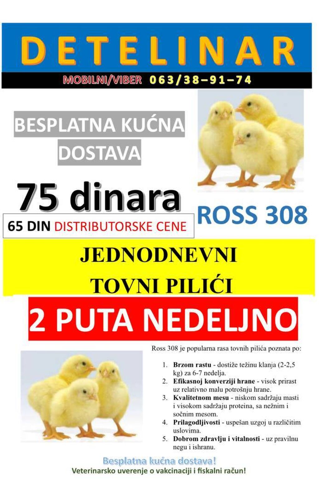 Jednodnevni tovni pilici! Dva puta nedeljno donosimo besplatno na