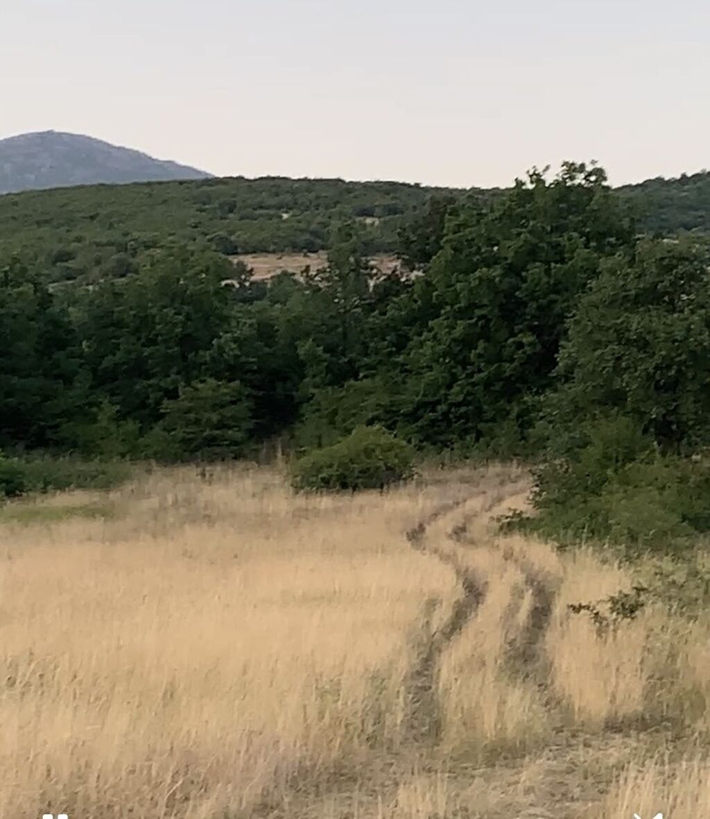 Poljoprivredno zemljište