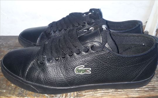 Lacoste ocuvane 42