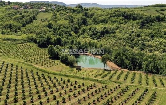 Blizu Arađenlovca, profitabilno poljoprivredno gaz