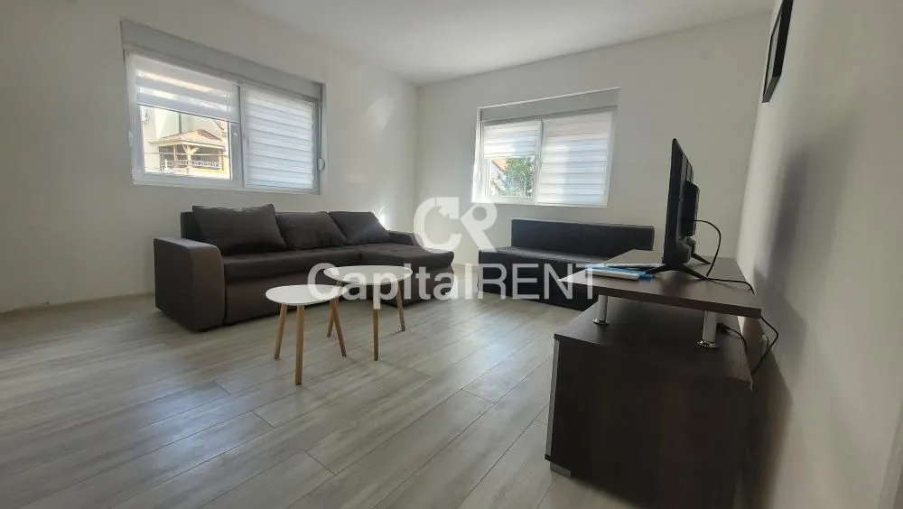 Izdavanje, dvosoban stan, 60m2, Banovo Brdo, Beograd