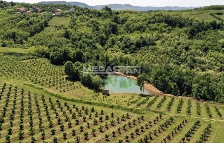 Prodaja, zemljište, 0m2, Arandjelovac