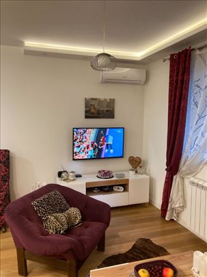 Vračar, novogradnja, funkcionalan, ID 24869